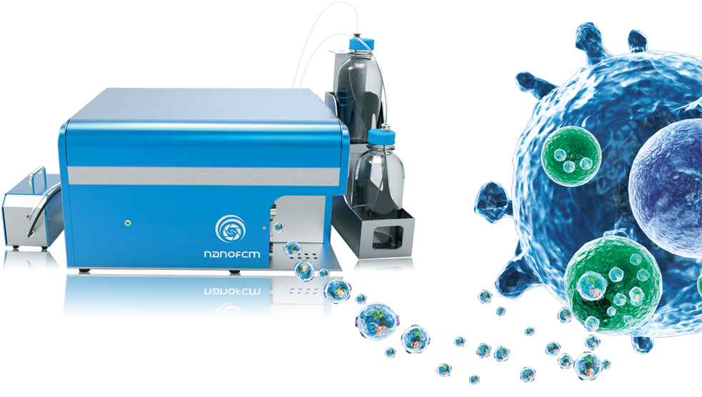 NanoFCM - Nanoparticle Flow Cytometry- Capabilities to the Nanoscale