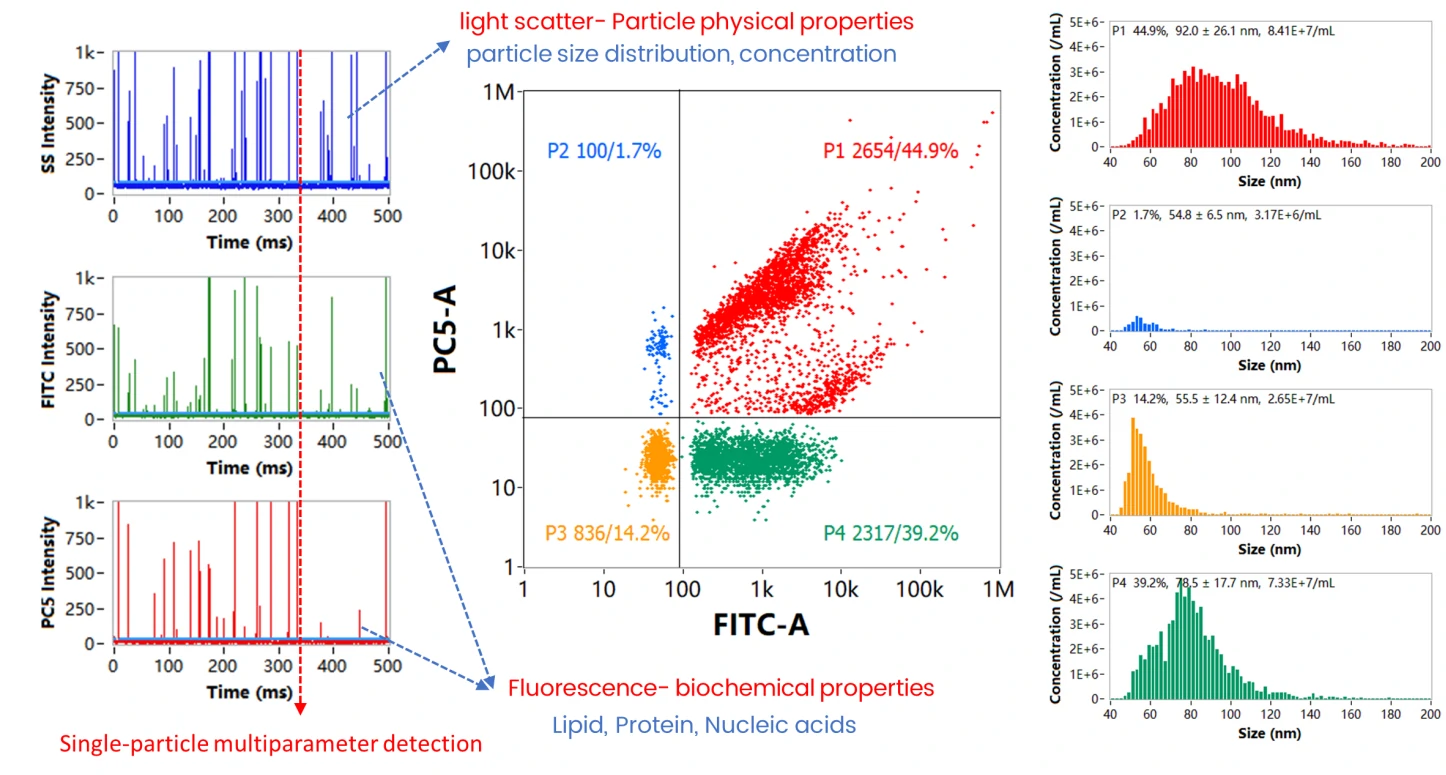 FLOW NANOANALYZER – NanoFCM