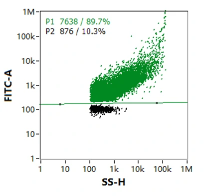 Comprehensive Analysis of Lentiviruses – NanoFCM